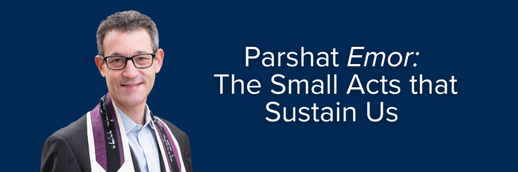 Parshat Emor: The Small Acts that Sustain Us | Temple Rodef Shalom ...
