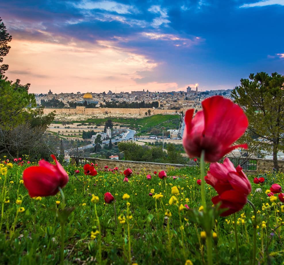 Trips: Israel 2026 | Temple Rodef Shalom - Reform Temple in Northern ...