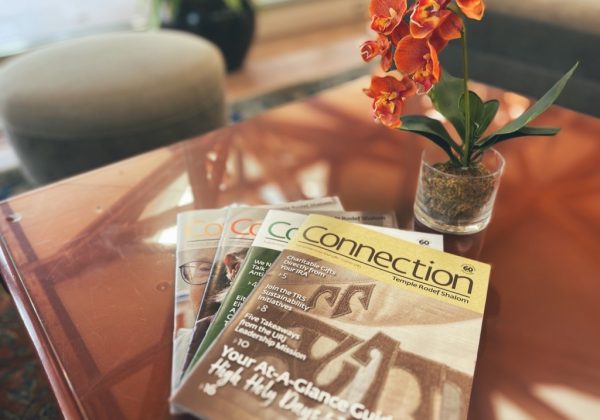 About TRS | Temple Rodef Shalom - Reform Temple in Northern VATemple ...